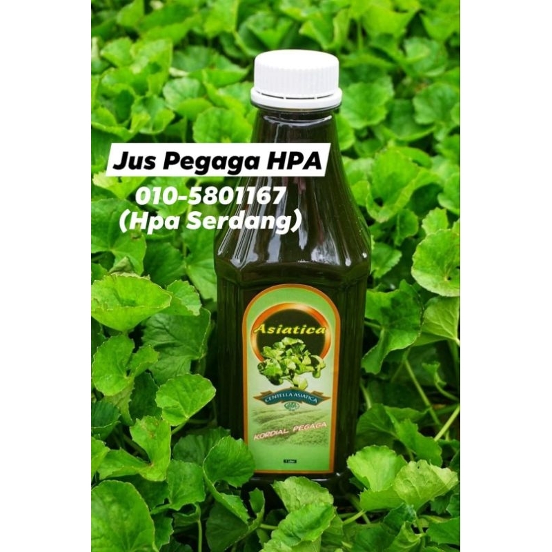 Kordial Pegaga HPA Asli Organik Tanpa Pewarna Tiruan-Exp 03/2026 ...