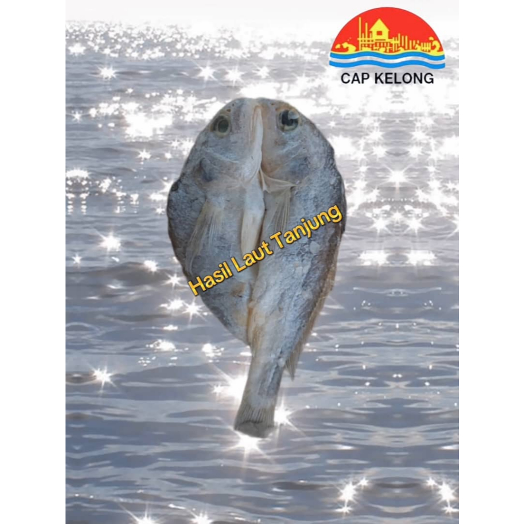 Ikan Masin Gelama Belah 250GM Ikan Kering Gelama Belah Ikan Gelama ...