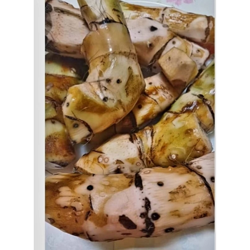 Ubi pokok geli-geli / ubi gegeli segar 500 gram | Shopee Malaysia