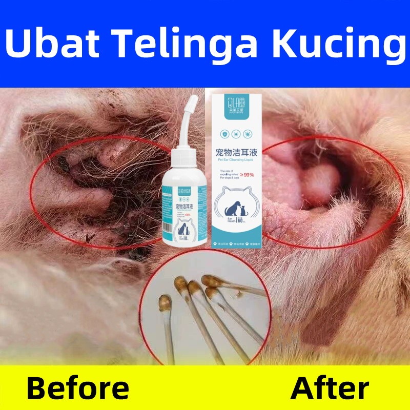 Ubat telinga kucing Kutu kucing ubat Ear mite for cat Pet ear drops Cat ...