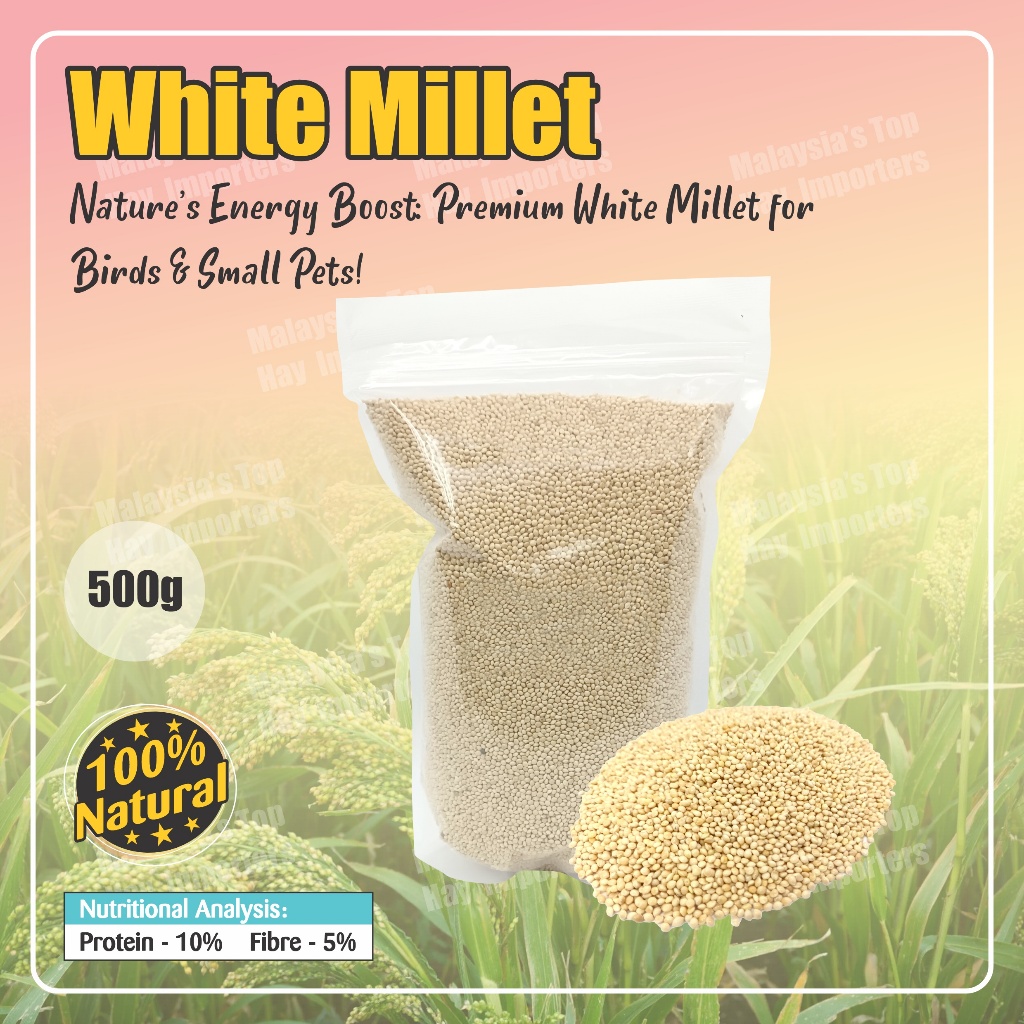 Premium high quality - White Millet 1kg Whole Oats 500g / Barley 500g ...