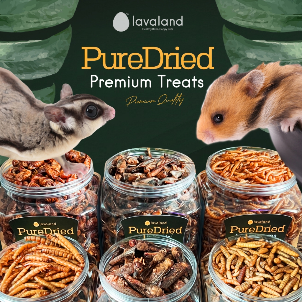 Lavaland - PureDried - Premium Treats | Dried Mealworms Crickets ...