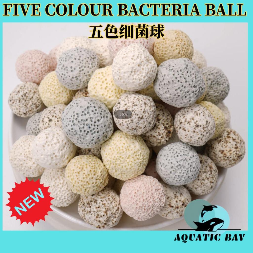 【Ready Stock】500G-5KG 5 Colour Bacteria Ball Material Filter Media ...