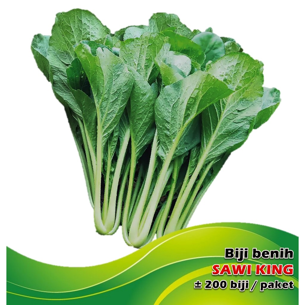 Biji Benih SAWI KING (200 biji/packet) / Choy Sam KING vegetable seeds ...