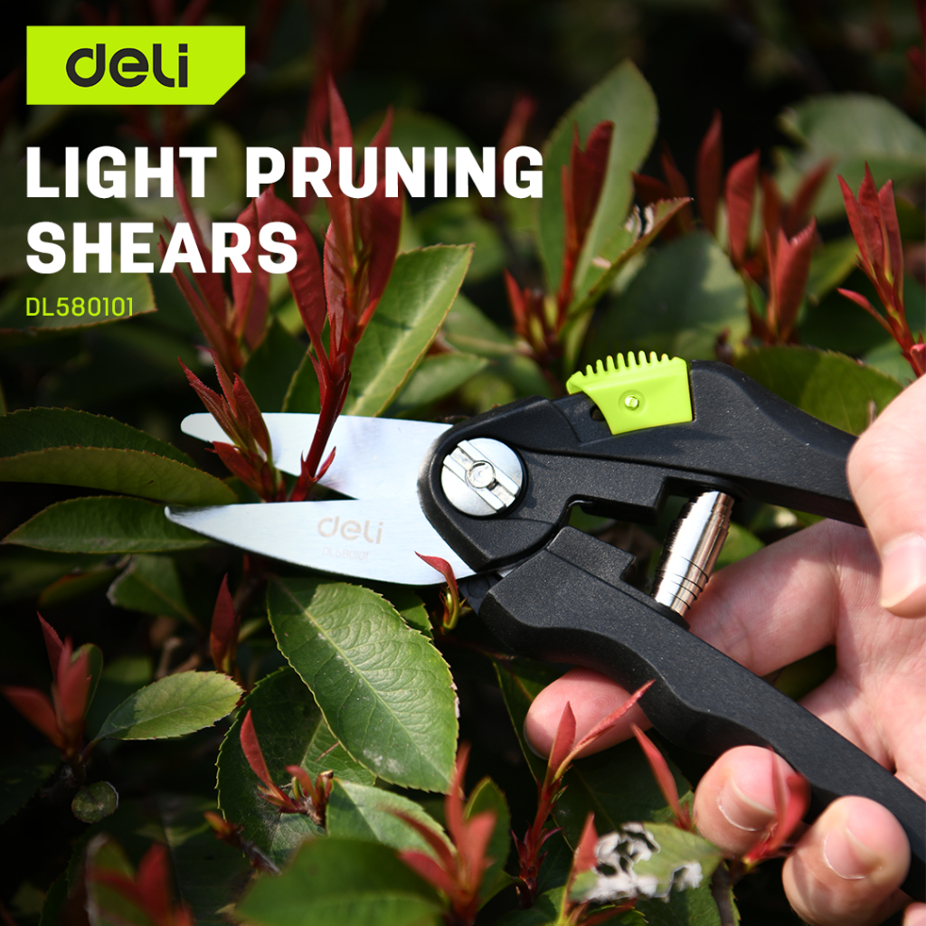 DELI Light Pruning Shears with Heat Treatment Surface (8" / 10mm / SK5 ...
