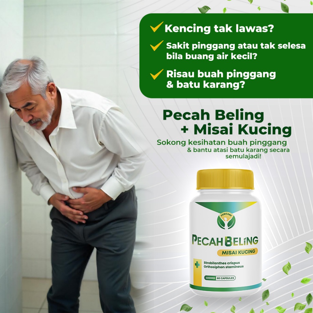 Femcare Pecah Beling + Misai Kucing – Herba Bantu Lawas Kencing, Buah ...
