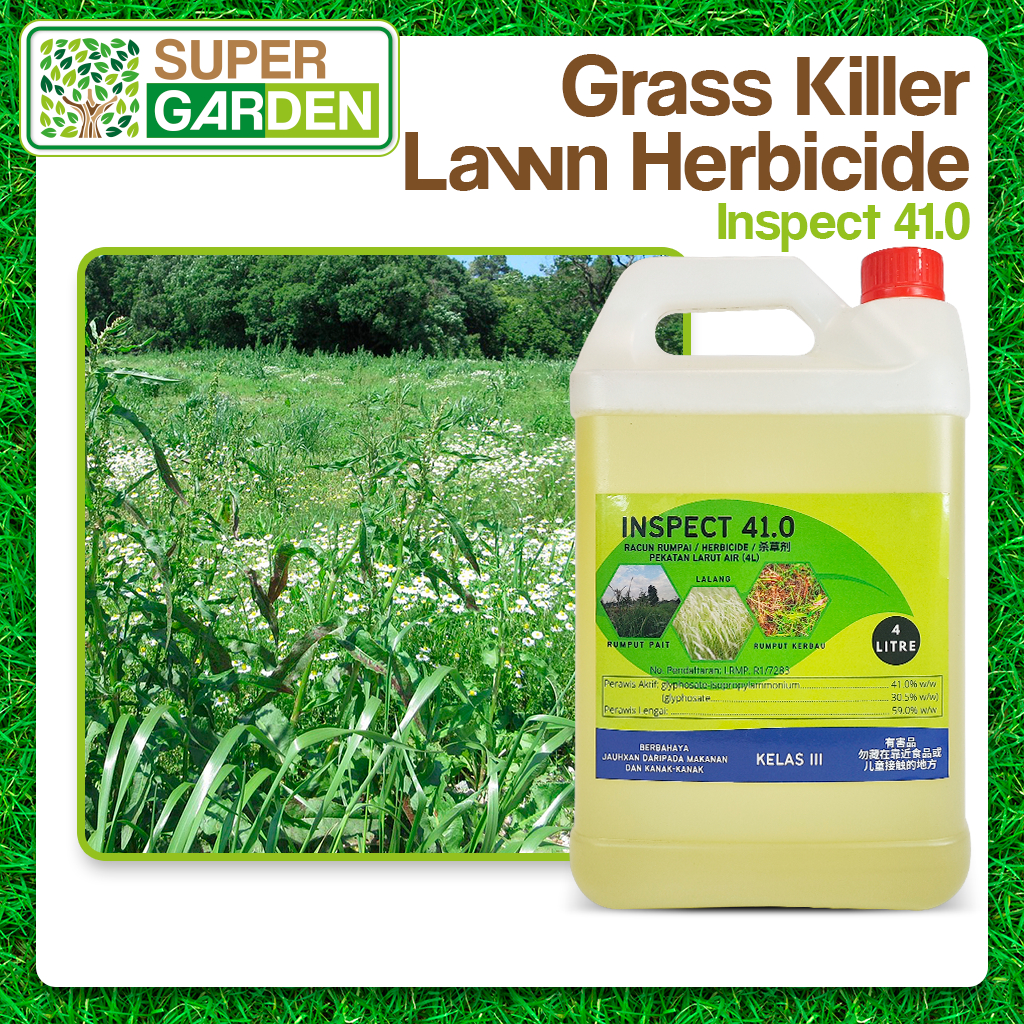 Pembunuh Rumput Lalang 4L Racun Tabur Rumput Weed Control Land ...