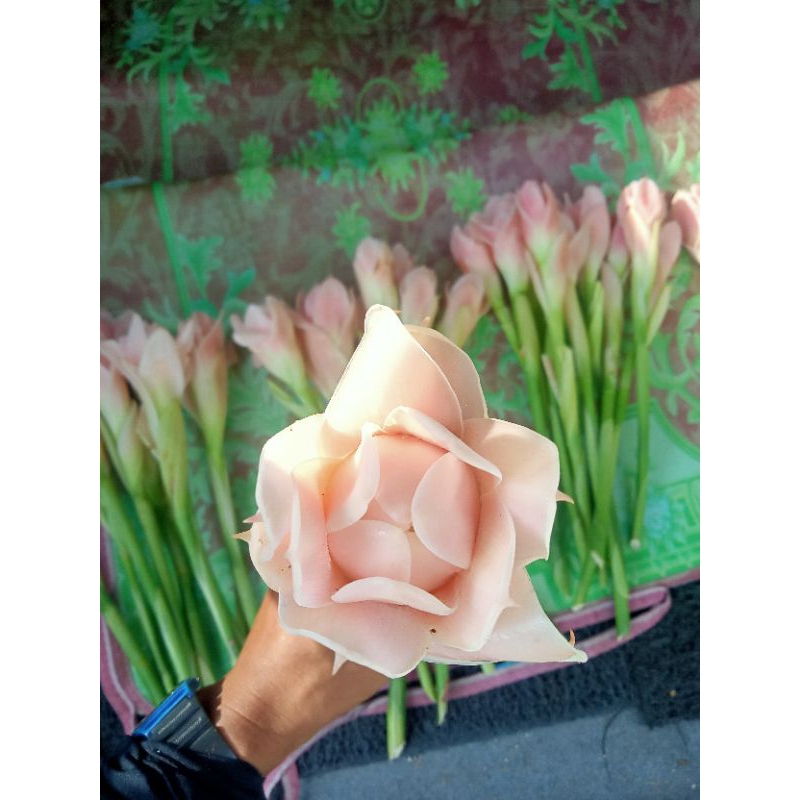 Bunga kantan pink sekuntum | Shopee Malaysia