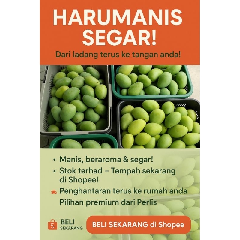 HARUMANIS ASLI PERLIS 2025 | Shopee Malaysia