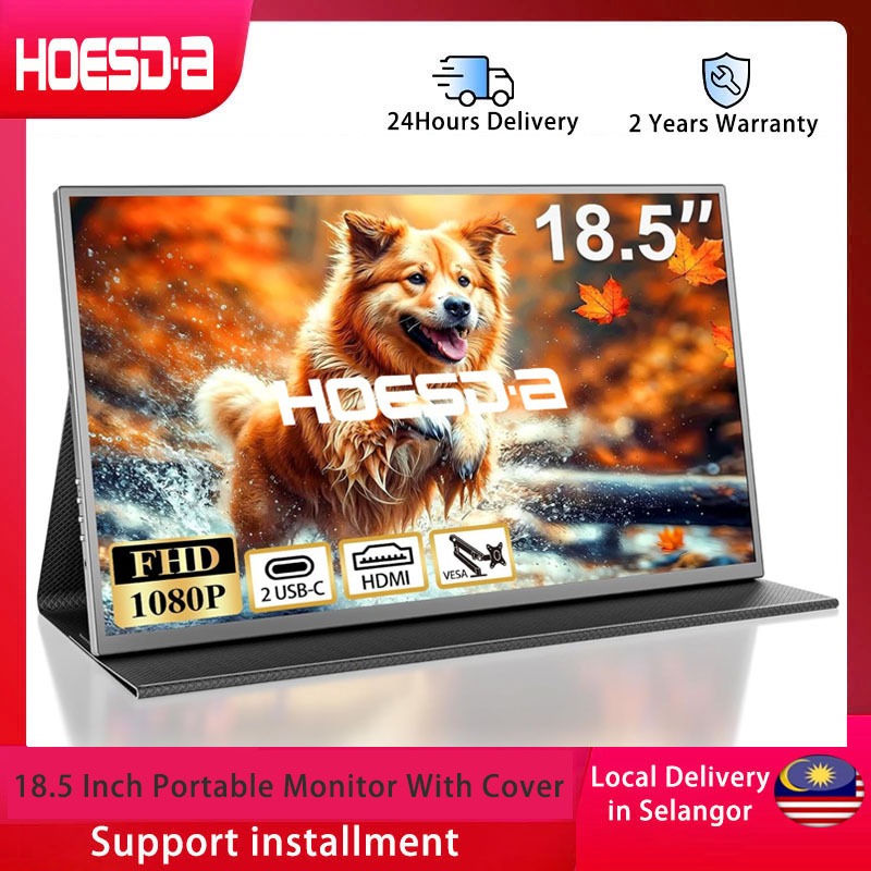HOESD.a 18.5 inch Portable Monitor 100%sRGB USB-C Large Gaming Monitor ...