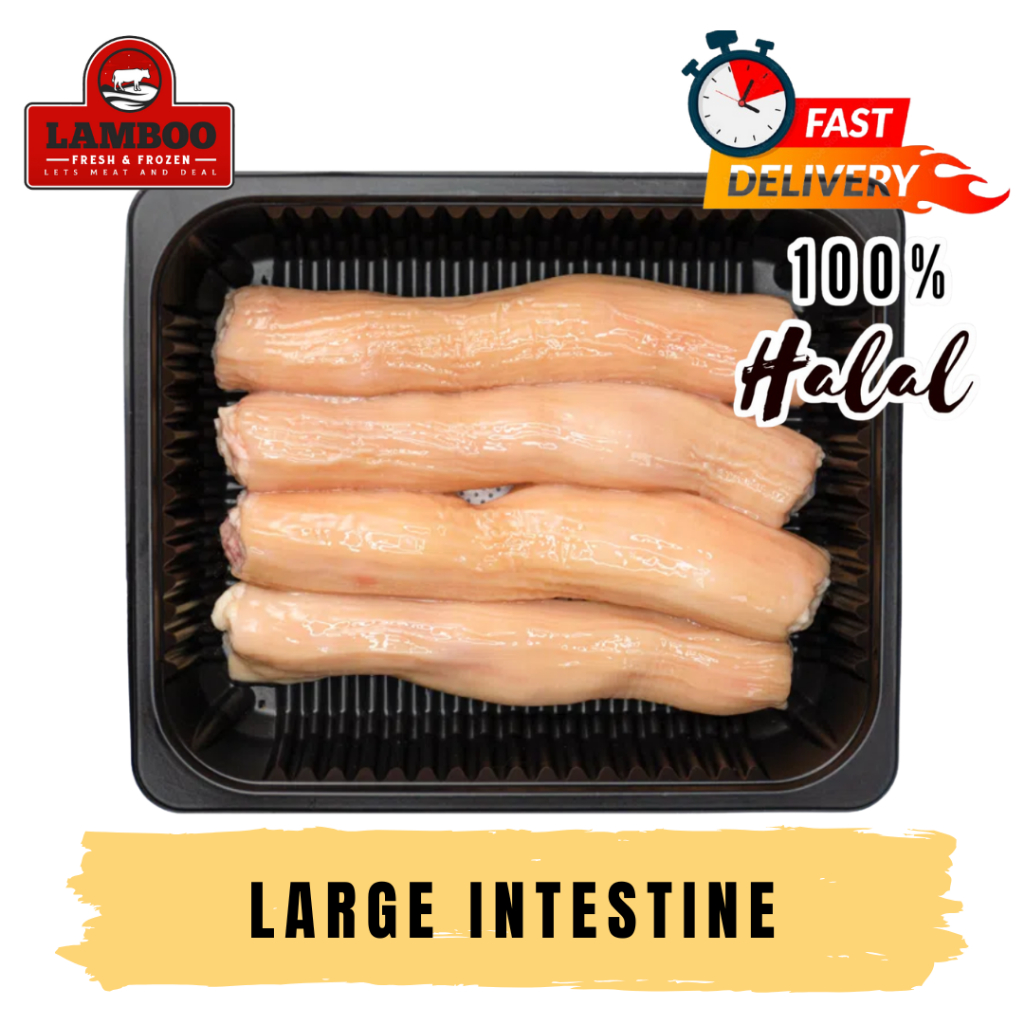 Aust Beef Large Intestine Deachang 1kg Shopee Malaysia