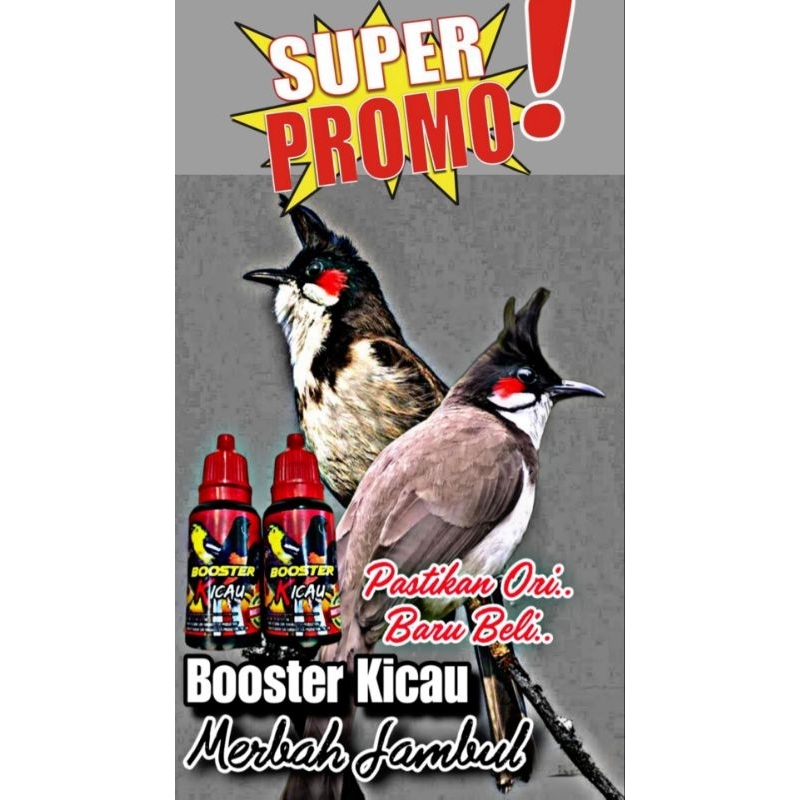 🔥𝐒𝐔𝐏𝐄𝐑 𝐏𝐑𝐎𝐌𝐎🔥 𝐁𝐎𝐎𝐒𝐓𝐄𝐑 𝐊𝐈𝐂𝐀𝐔 BURUNG MERBAH JAMBUL | Shopee Malaysia
