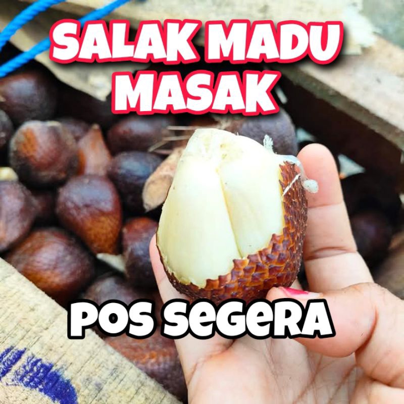 SALAK MADU MASAK 1KG MANIS FRESH KEBUN | Shopee Malaysia