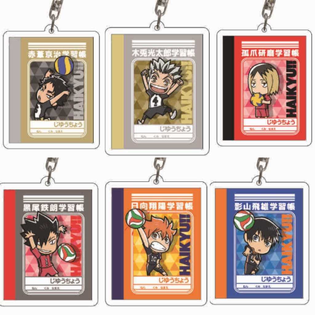 Cute Series Haikyu Anime Square Shape Acrylic Keychain Collection Shoyo ...