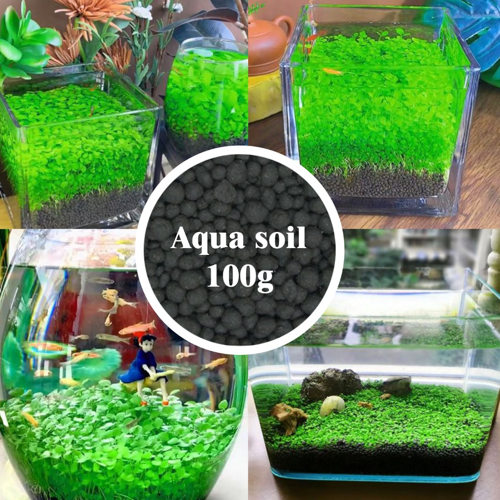 100g Aqua Soil/Aquatic soil for Aqua Seed Water Fish Tank Rumput Air ...