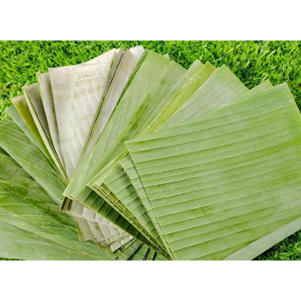 50PCS Potong Saiz 8.5"x 6" Daun Pisang Segar /Natural Fresh Banana Leaf ...