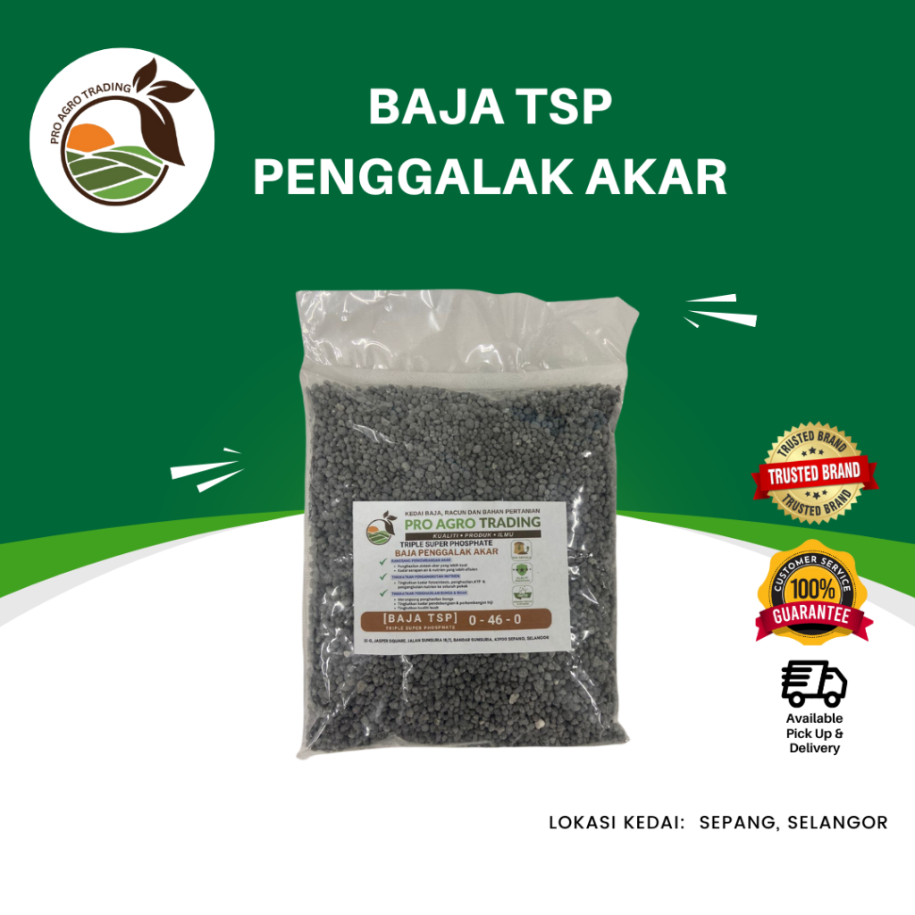 Triple Super Phosphate (TSP) 1KG - Penggalak Akar, Baja Penanaman Anak ...
