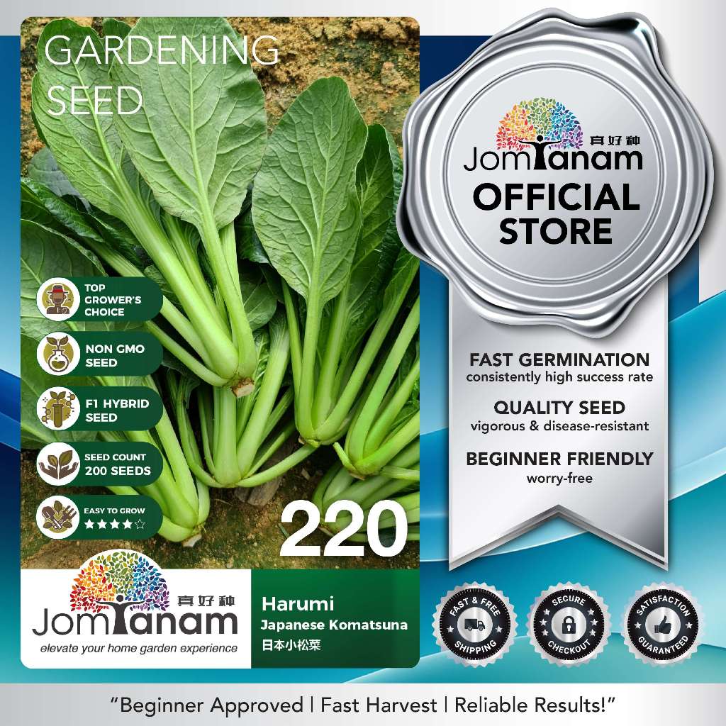 Japanese Komatsuna Seed Harumi 220 JOM TANAM Benih Jepun Komatsuna ...