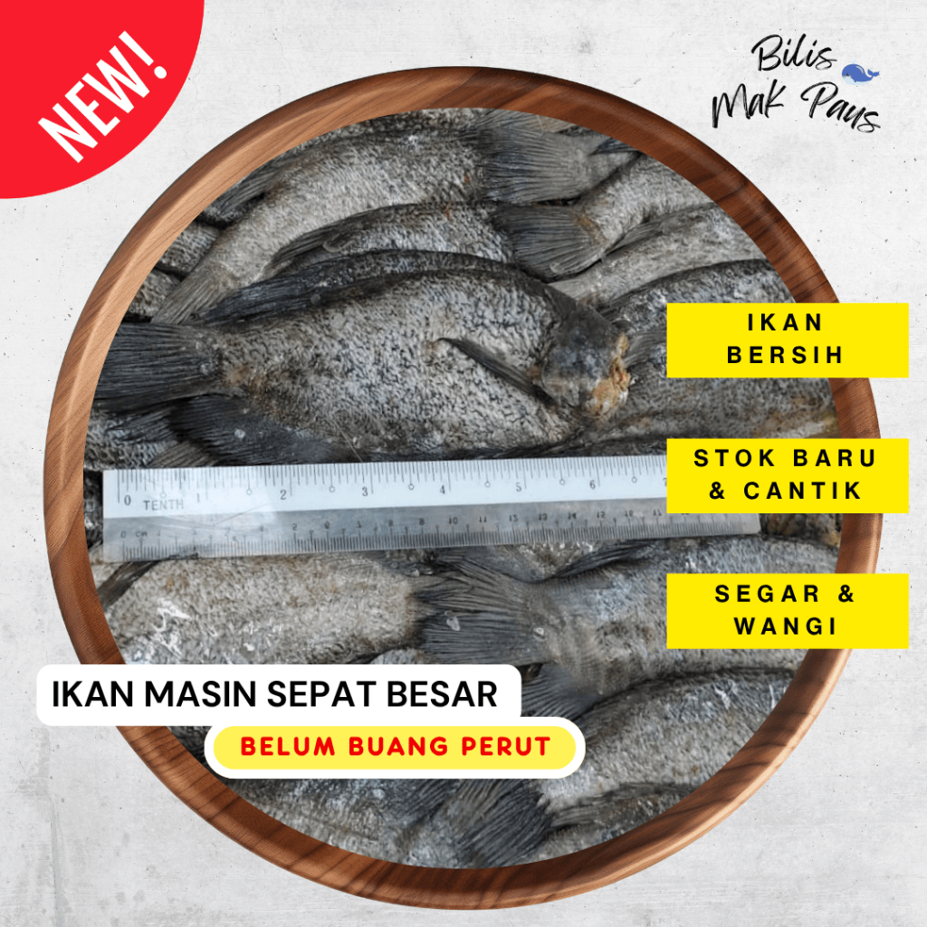 Ikan Masin Sepat Ikan Sepat Besar Dried Fish 250G 500G | Shopee Malaysia