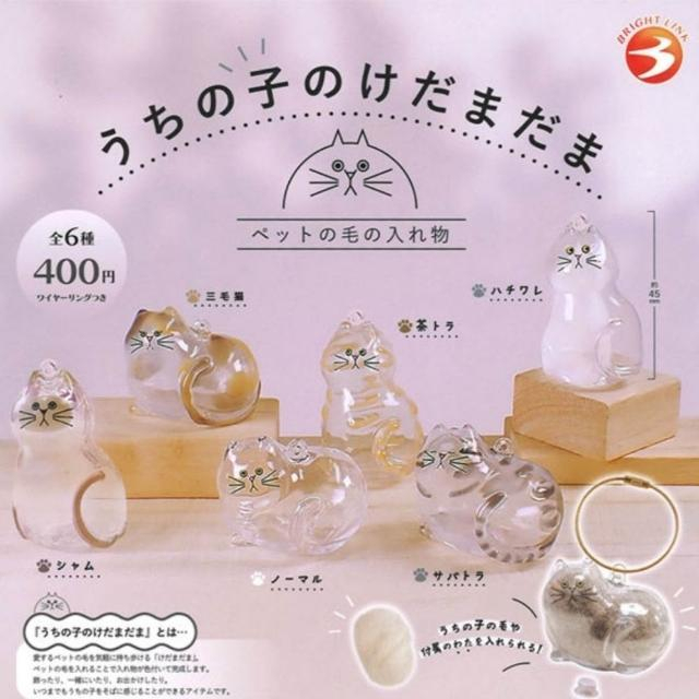 [Ready stock] My child's Kedamama cat fur gacha capsule toy gachapon ...