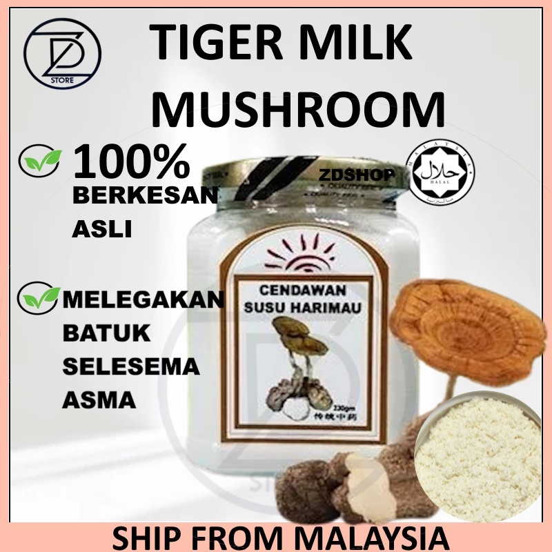 Premium TIGER MILK MUSHROOM (Relief of Cough, Cold & Sinusitis)SERBUK ...