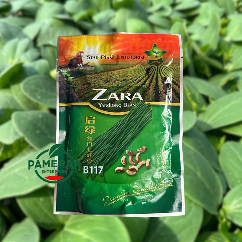 BENIH KACANG PANJANG ZARA B117 200gram +-900biji / Long Bean Seed ...