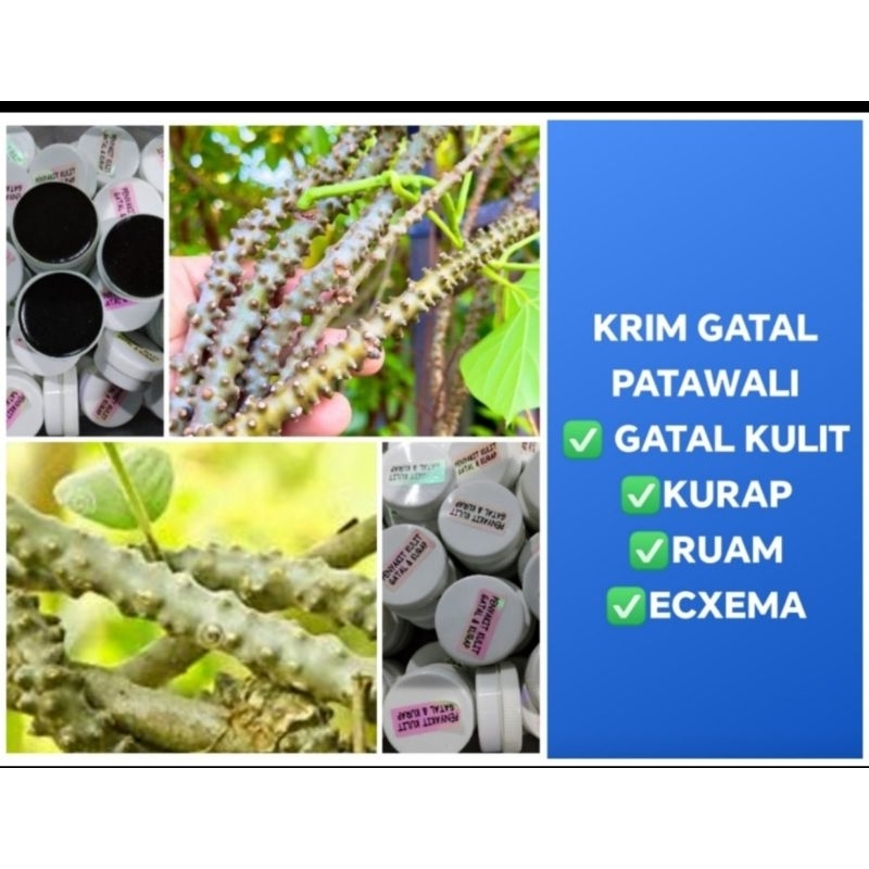 KRIM GATAL PATAWALI (PAKALI) | Shopee Malaysia