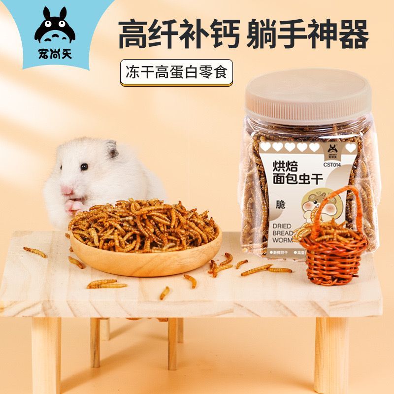 Hamster Worm Mealy Dried Bread Worms 100Gram Small Pet Sugar Glider ...
