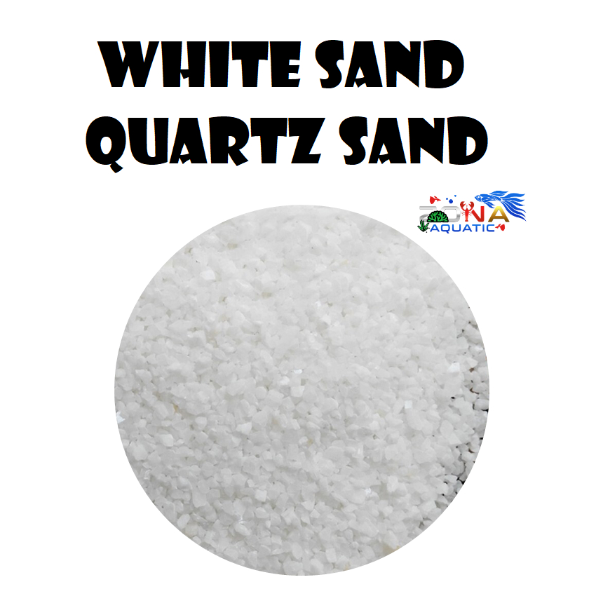 READY STOCK | WHITE SAND | QUARTZ SAND | PURE WHITE SAND | FOR AQUARIUM ...