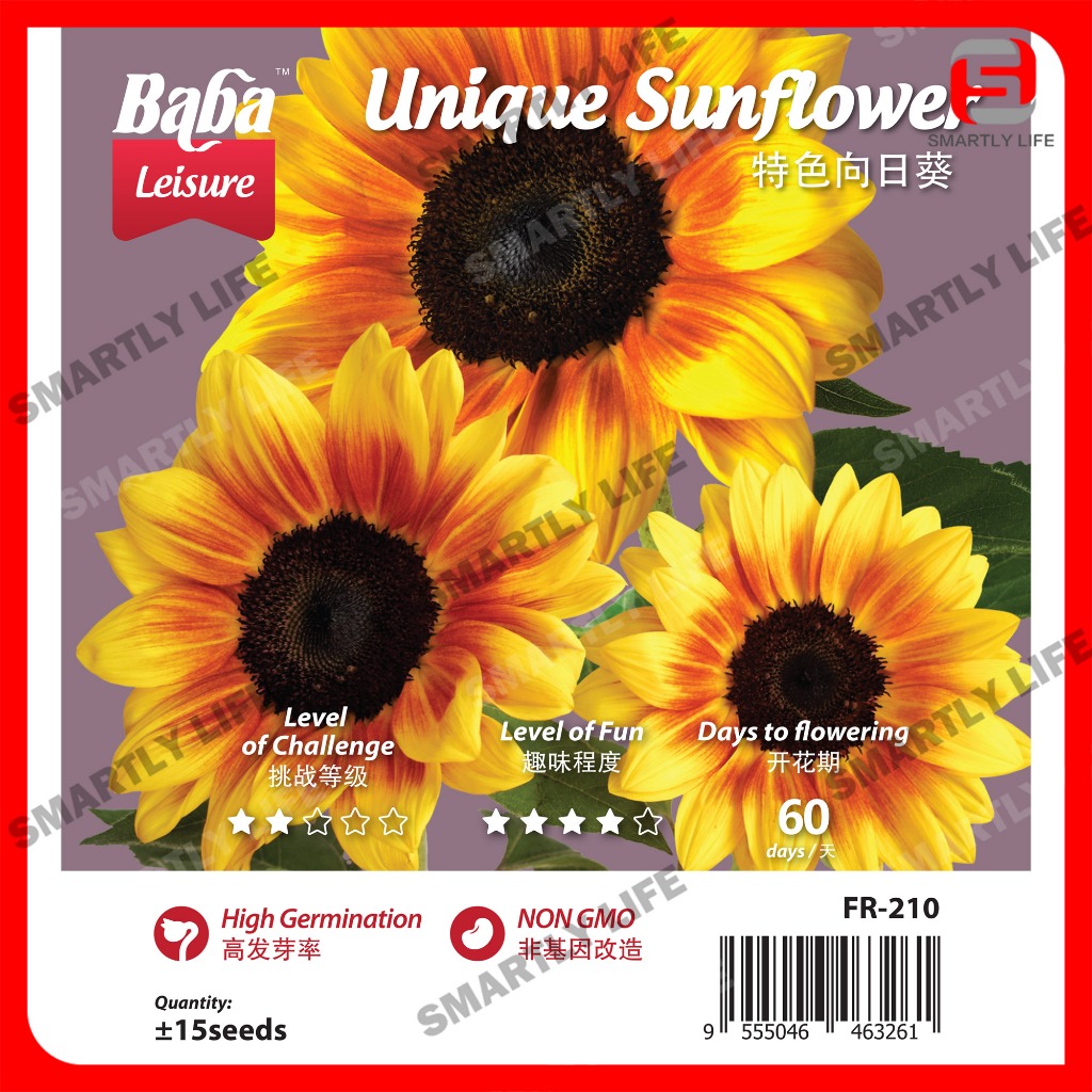 Baba Smart Grow Seed: FR-210 Unique Sunflower 特色向日葵 Flower Bunga Biji ...