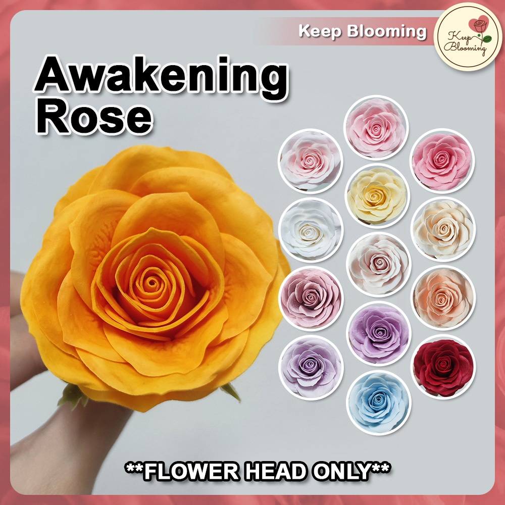 (1PCS) Awakening Rose Soap Flower PREMIUM QUALITY Single Stalk Rose ...