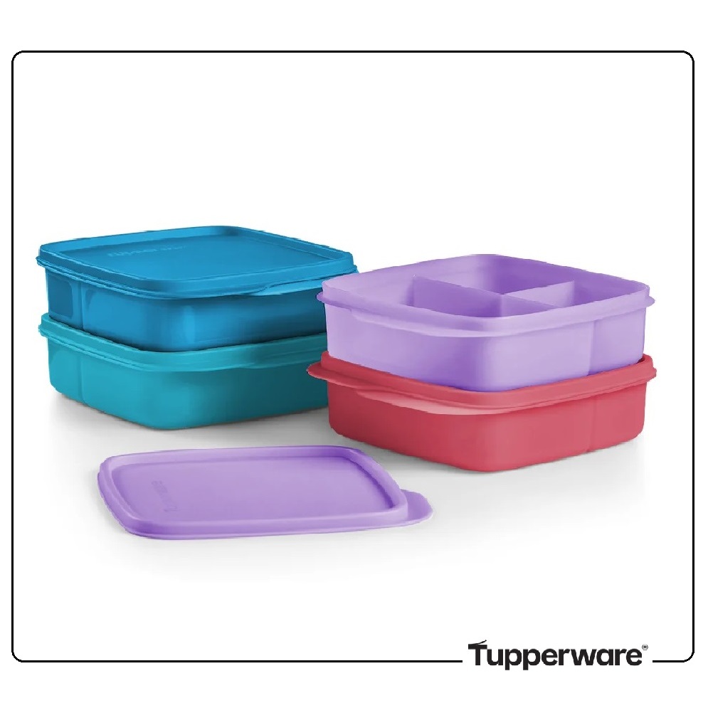 Tupperware Divided Lunch Box (1) 550ml | Shopee Malaysia