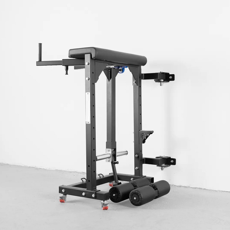 Wall Mounted Reverse Hyperextension Machine Back Hamstring Glutes Lower ...