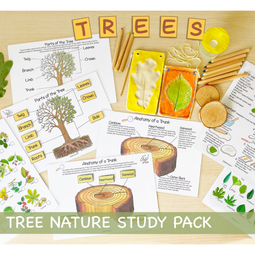 PDF] Tree Unit Study Home Learning Printable Montessori Toddler ...