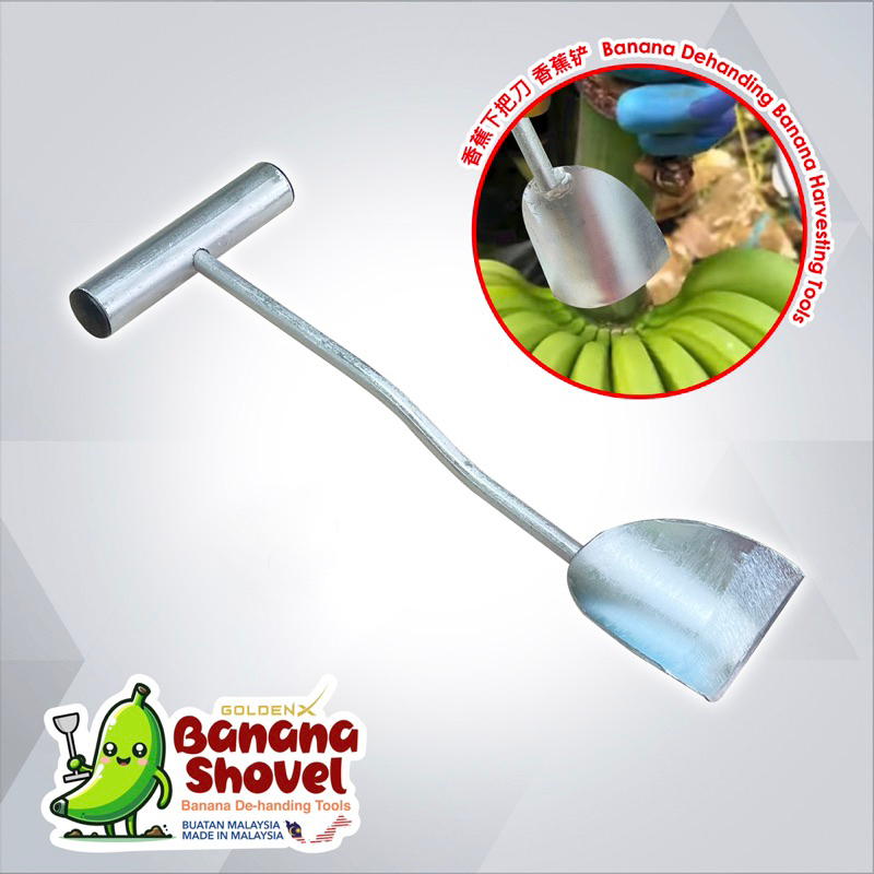 banana shovel 香蕉下把刀 香蕉铲 banana dehanding banana harvesting tools ...