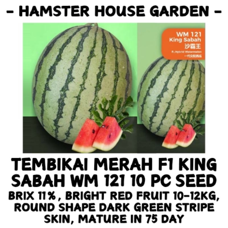 HSK [10pc] TEMBIKAI MERAH BIJI WATERMELON KING SABAH WM 121 SEED | BIJI ...
