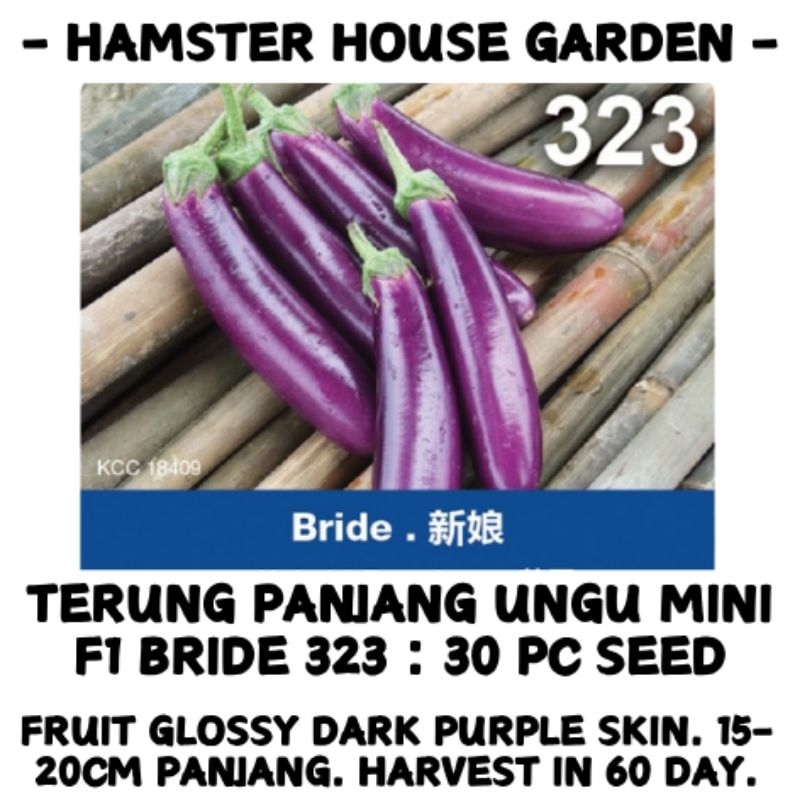 HSK [30pc] TERUNG UNGU MINI | MINI PURPLE EGGPLANT F1 HIBRID SEED ...