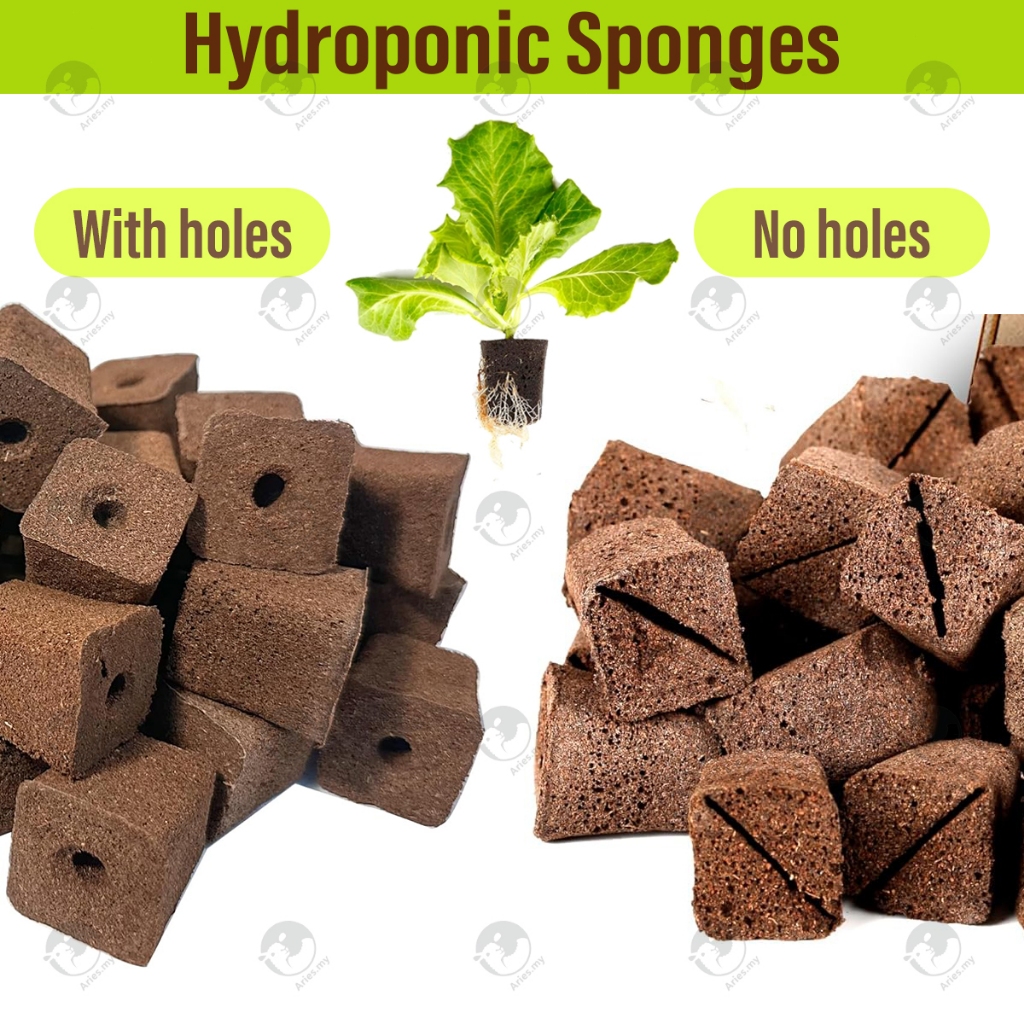 Hydroponic Seed Pod Replacement Grow Sponge Root Riot Growth ...