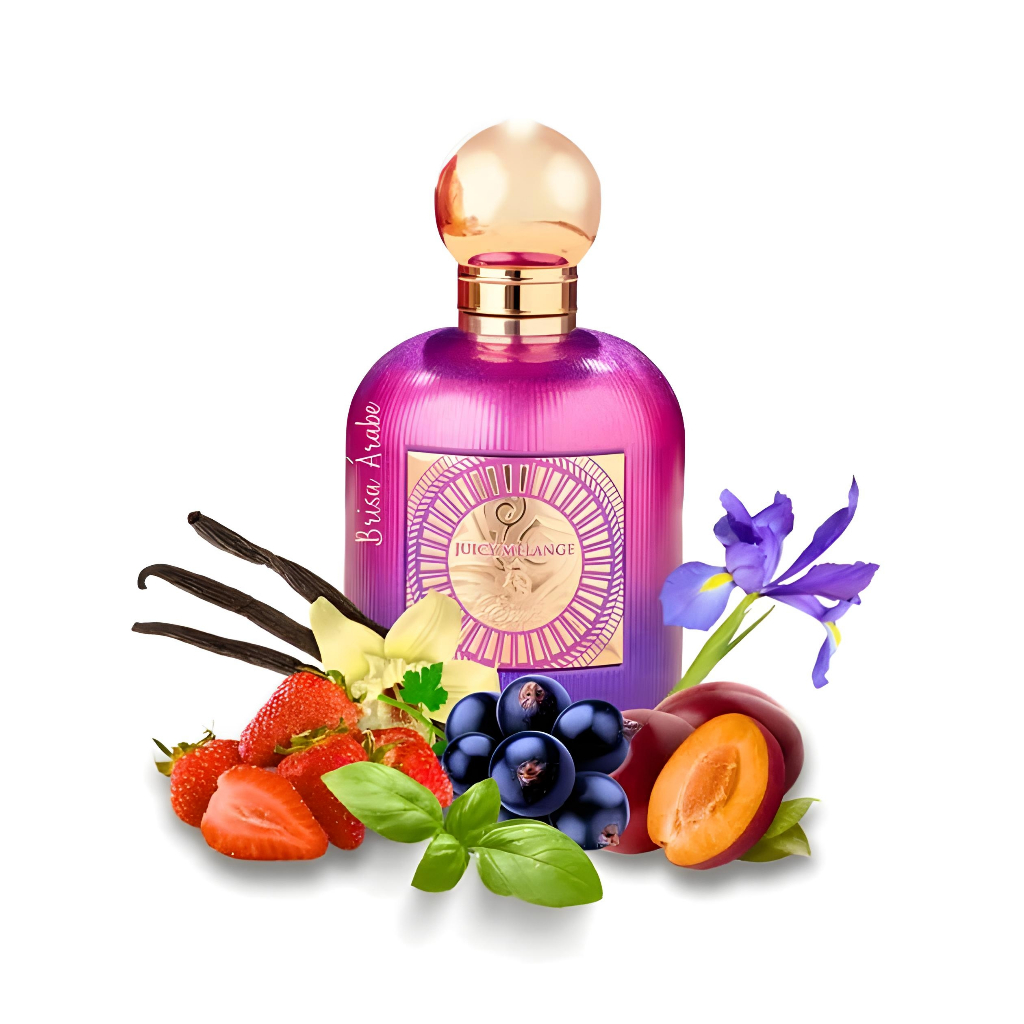 JUICY MELANGE Emir - Paris Corner Fruity Candy perfume 100 ML Original ...