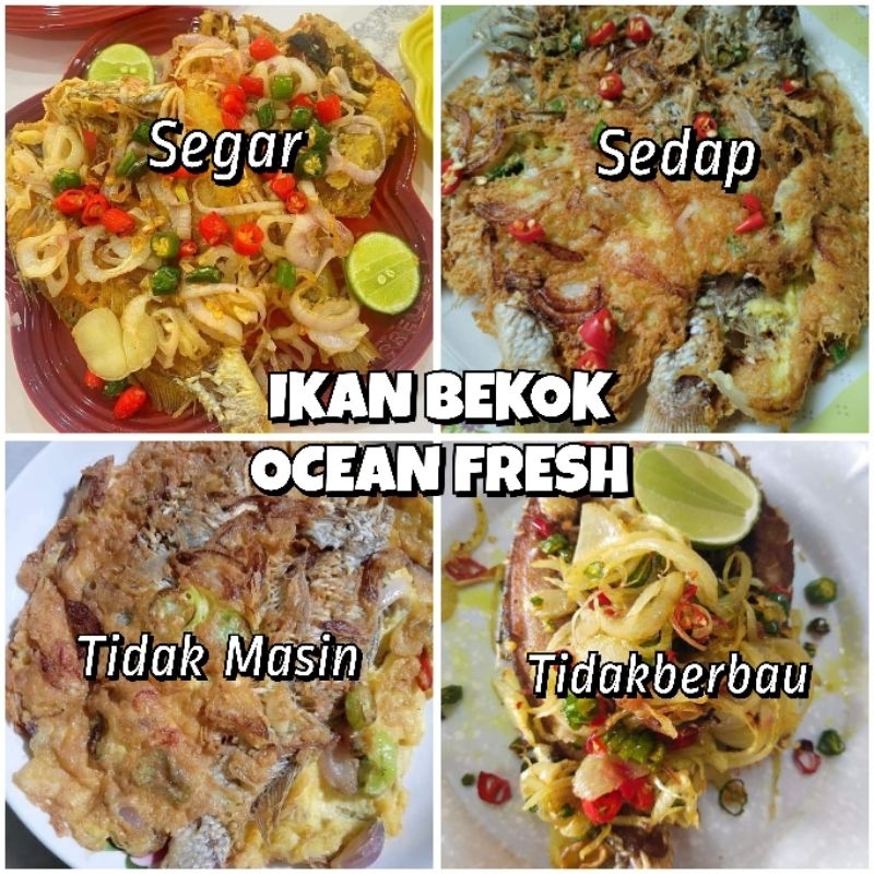 Ikan Masin Bekok Ikan Gelama Bekok Ocean Fresh Ikan Kering Bekok ...