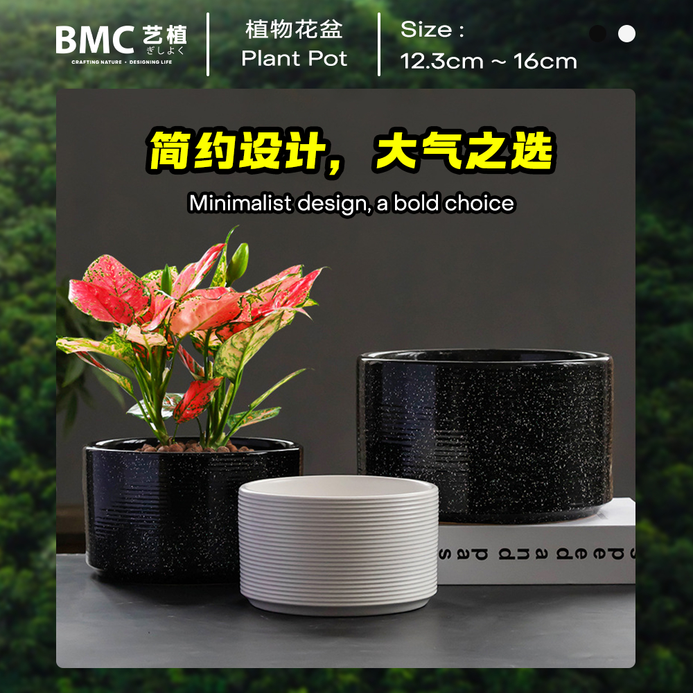 253. Creative Large-diameter Ceramic Flower Pot, Money Tree and Lucky ...