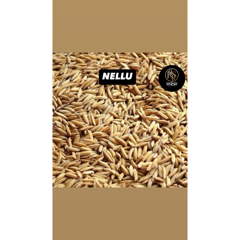NELLU/PADI/PADDY 1OOG/25OG/5OOGM/1KG | Shopee Malaysia