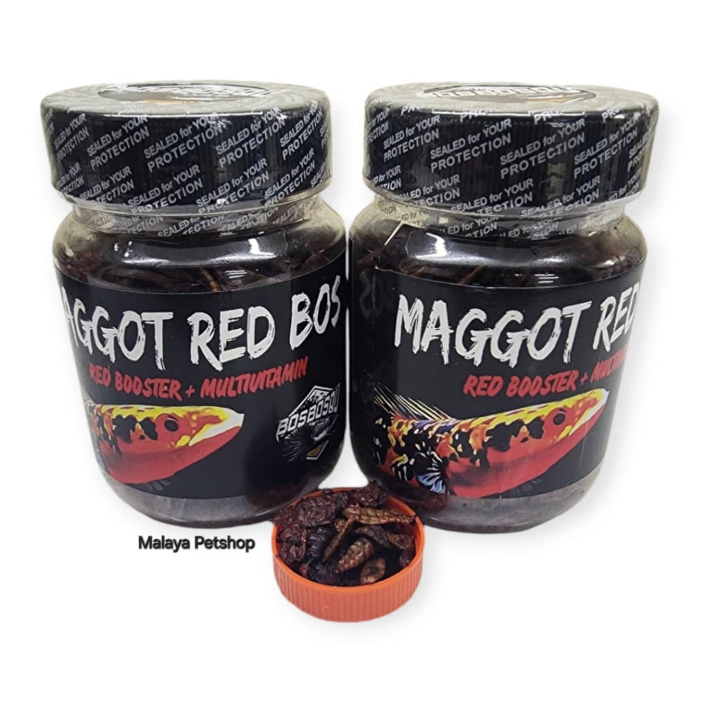 Maggot Red Bos 40 gram (Maggot Red Booster + Multivitamin)(Sesuai ...