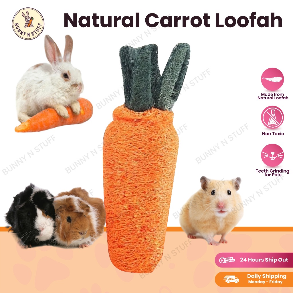 Natural Carrot Loofah🥕Pet Carrot Molar Toys Chew Play Loofah for Rabbit ...