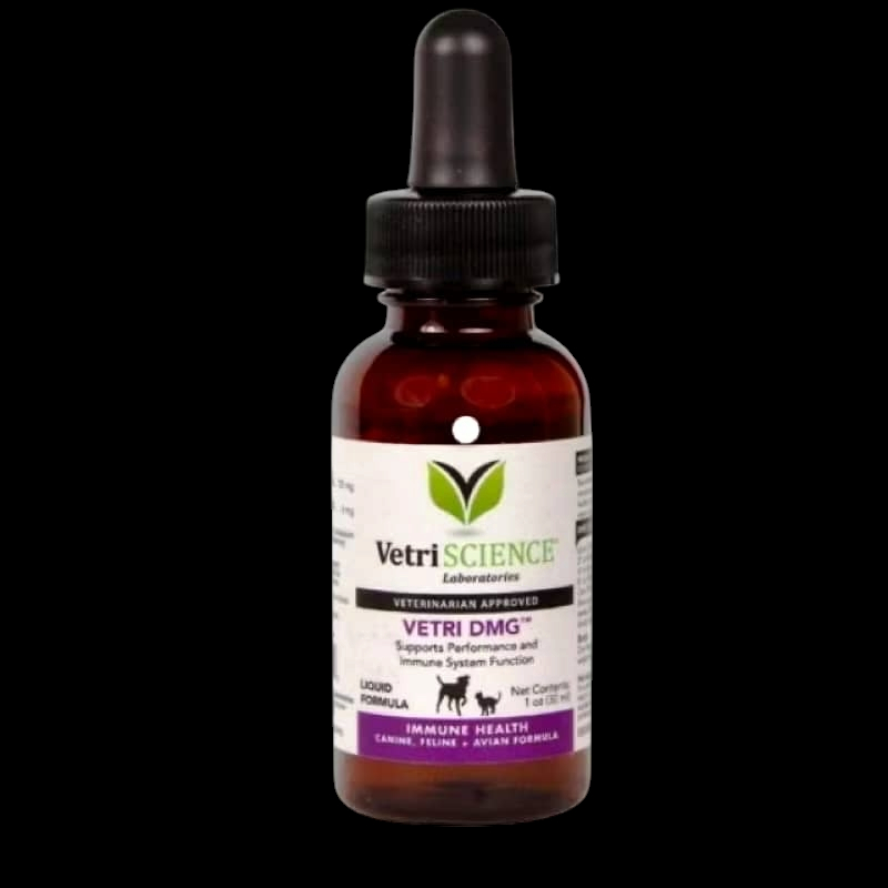 Vetri Science Liquid Vetri DMG for dog and cat anjing dan kucing 30ml ...