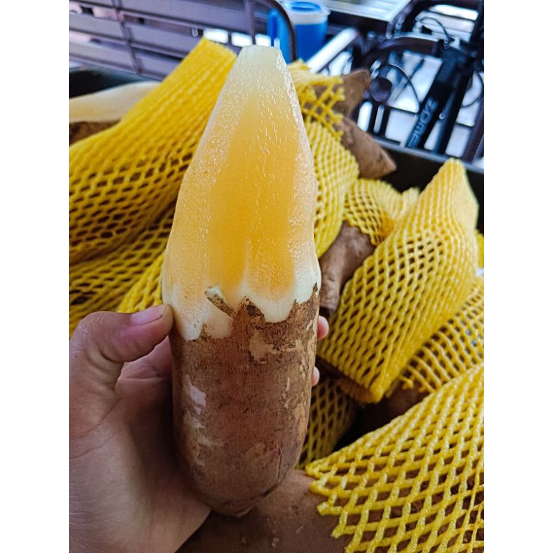UBI YAKUN MURAH 1KG sedap | Shopee Malaysia