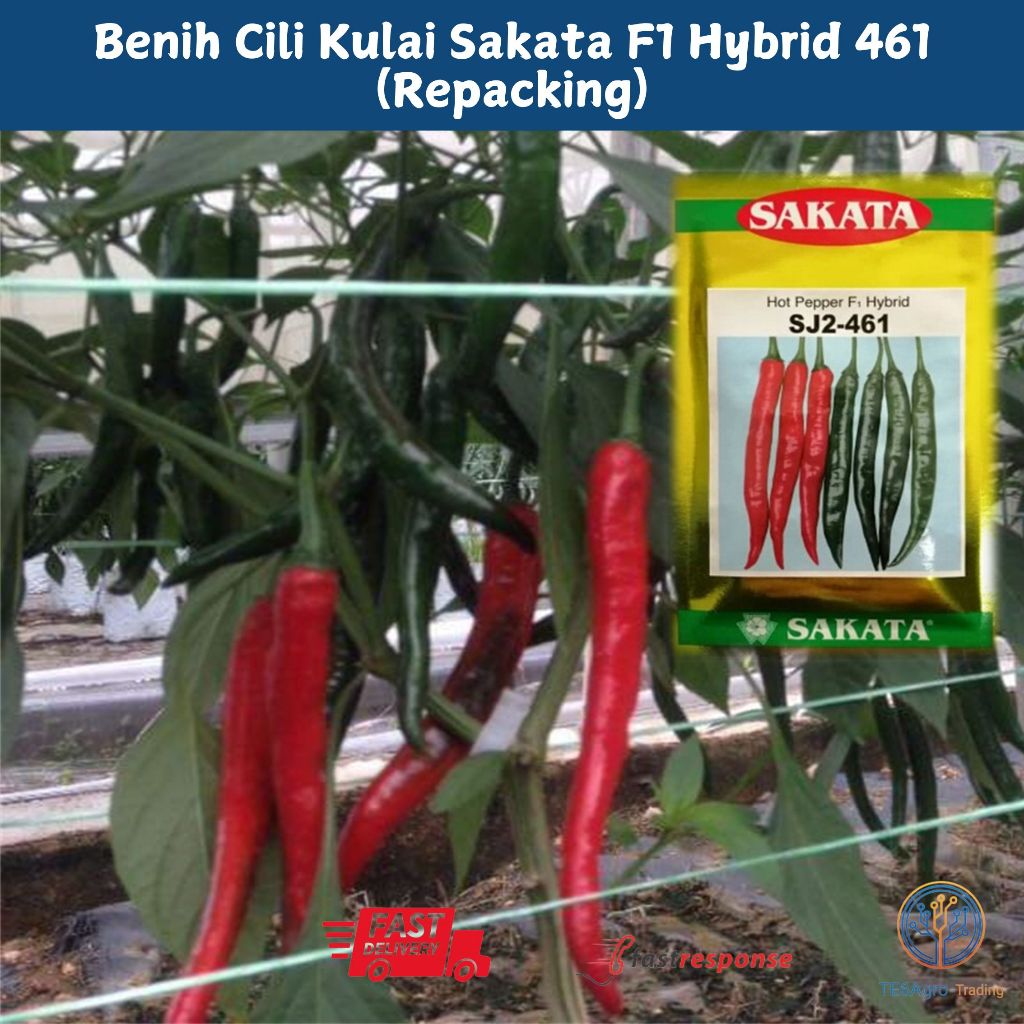 [REPACKING] BENIH CILI KULAI SAKATA HOT PEPPER F1 HYBRID 461 | Shopee ...