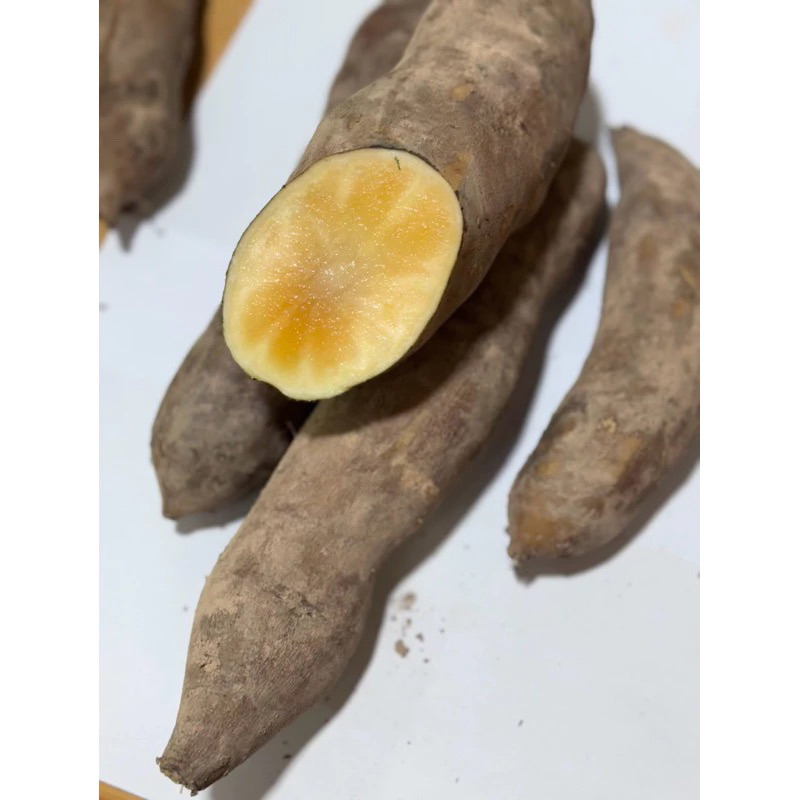 1KG UBI YACON VIRAL | YACOON FRESH | UBI VIRAL | Shopee Malaysia