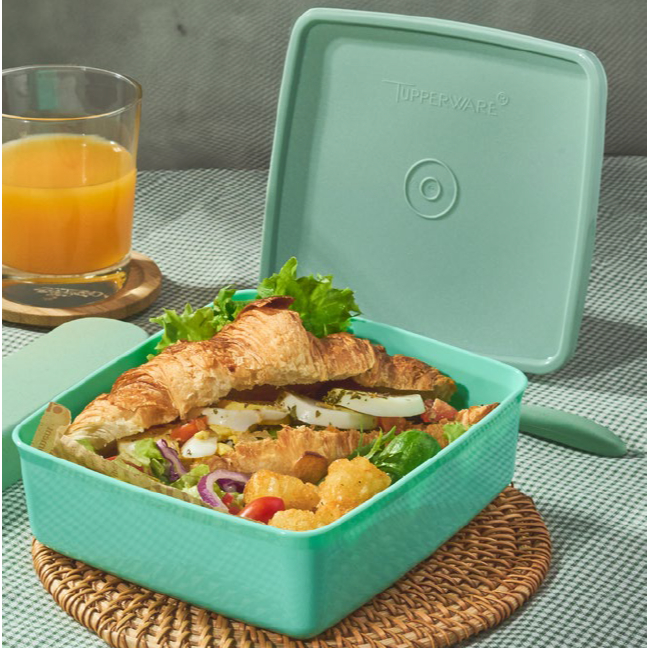 Tupperware Large Square Away 620ml (1PC) | Shopee Malaysia
