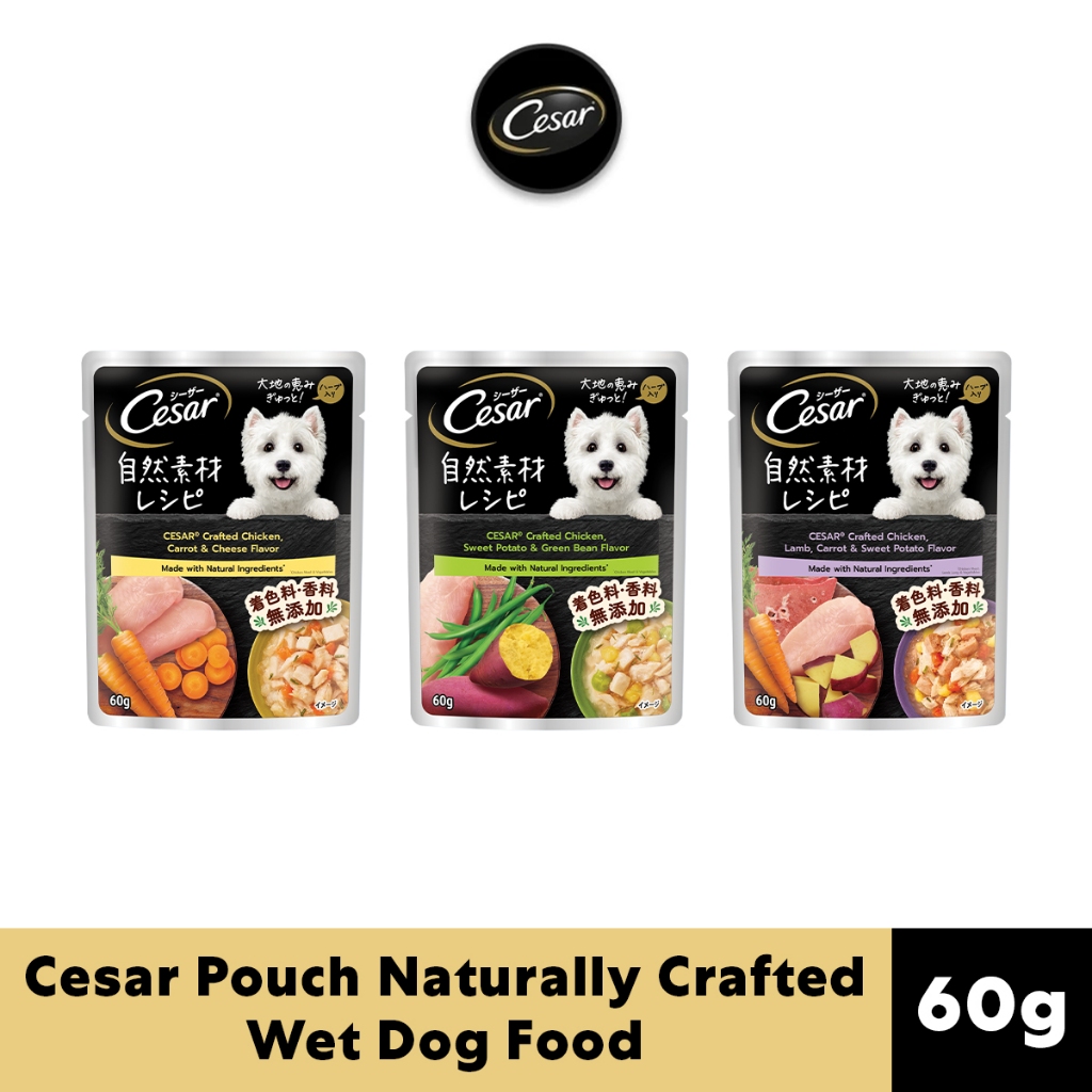 CESAR Pouch Premium Wet Dog Food 60g | Shopee Malaysia